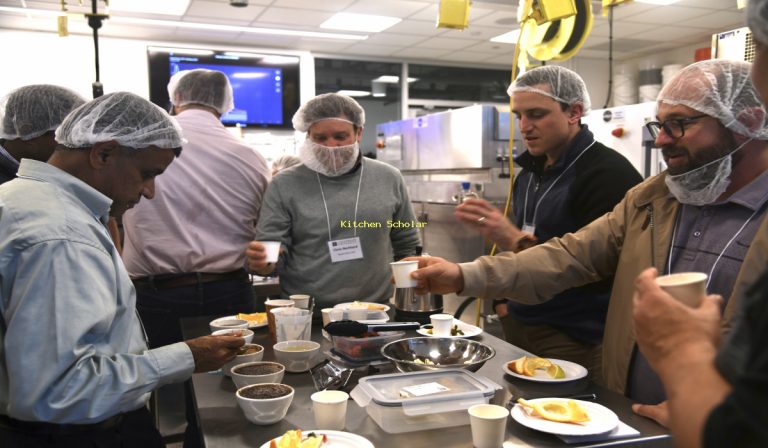 Why is Your Kitchen Sink Backing Up? 5 Common Causes Explained Safe